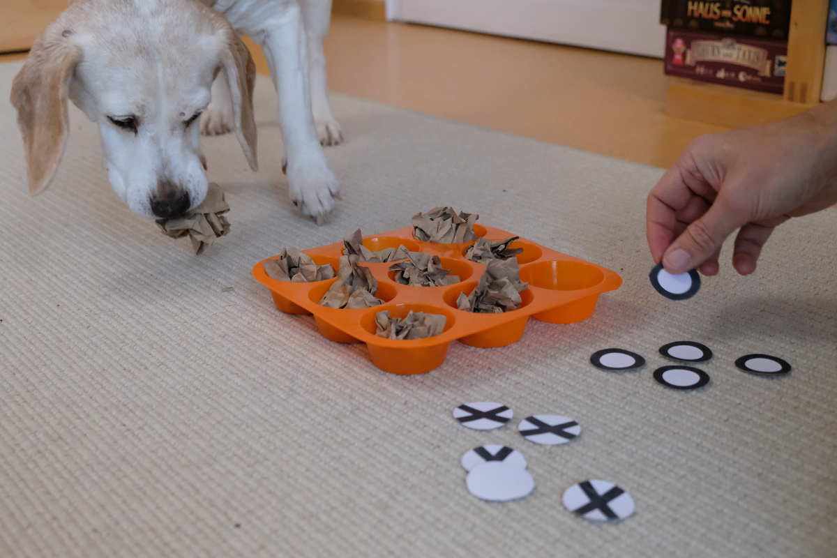 15. Tic Tac Toe! | SPASS-MIT-HUND